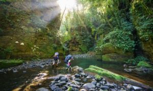 Home | Bushwalking NSWBushwalking NSW