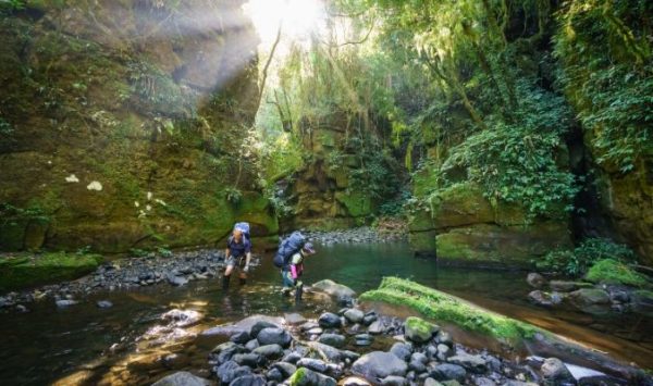 Home | Bushwalking NSWBushwalking NSW