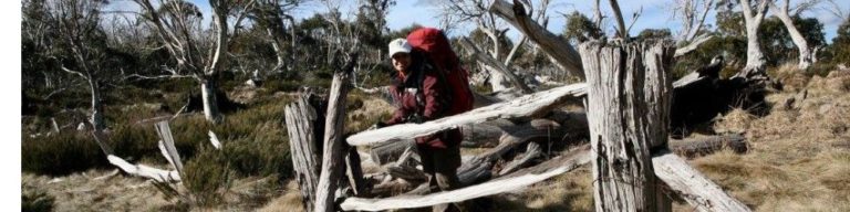 Bushwalker’s Code | Bushwalking NSWBushwalking NSW