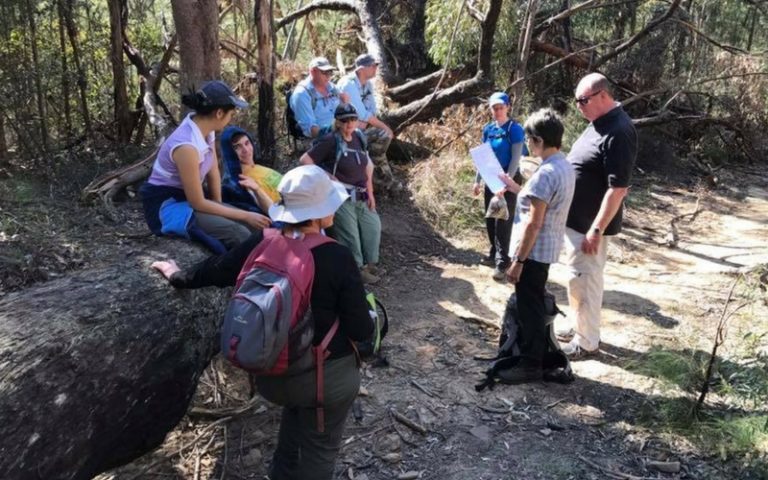 Bushwalking NSW clubs | Bushwalking NSWBushwalking NSW