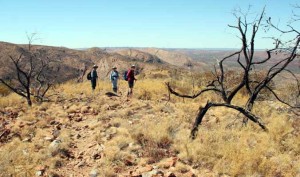 Home | Bushwalking NSWBushwalking NSW
