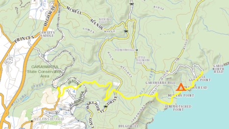 The Sutherland Bushwalking Club Adopts ‘Royal’ Tracks | Bushwalking ...