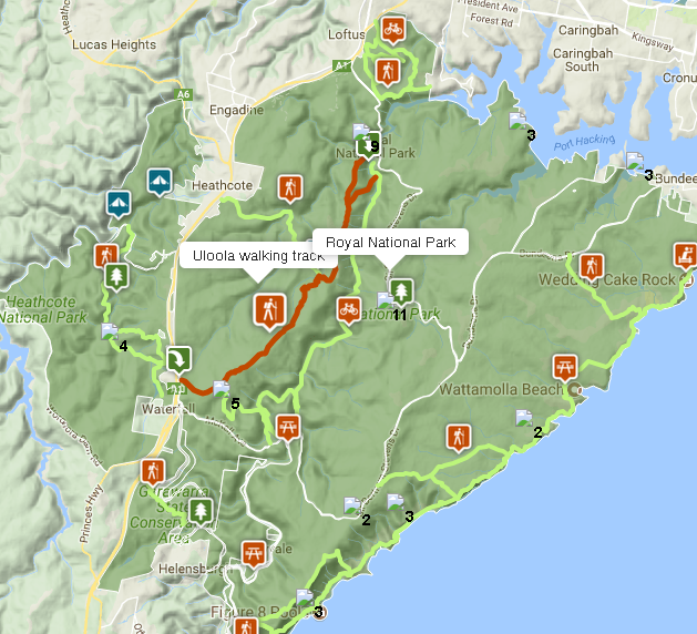 The Sutherland Bushwalking Club Adopts ‘Royal’ Tracks | Bushwalking ...