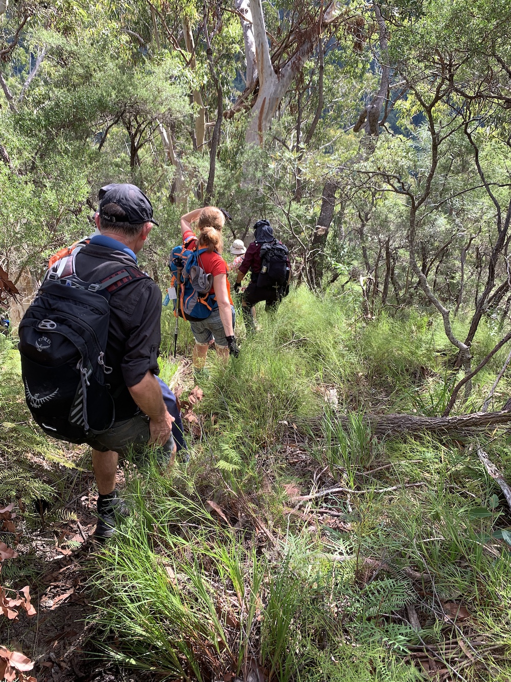 The shoe spray challenge | Bushwalking NSWBushwalking NSW