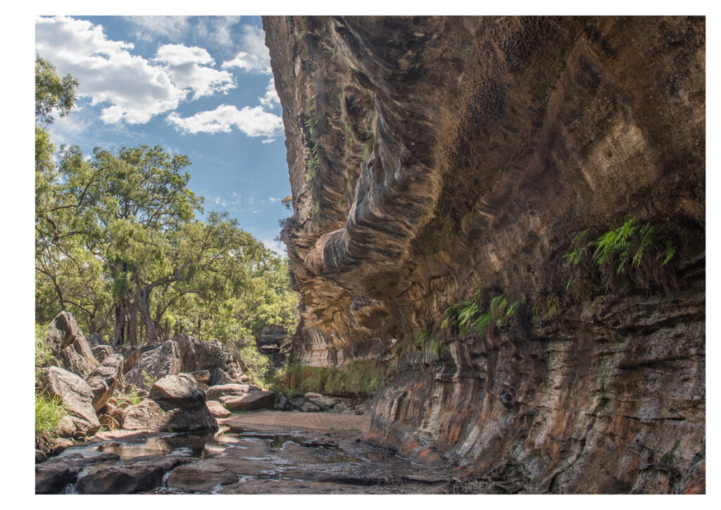 Bushwalking NSW 2020 Photo Competition | Bushwalking NSWBushwalking NSW