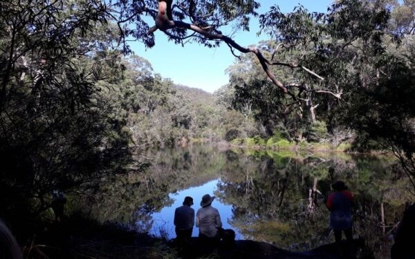 Walks | Bushwalking NSWBushwalking NSW