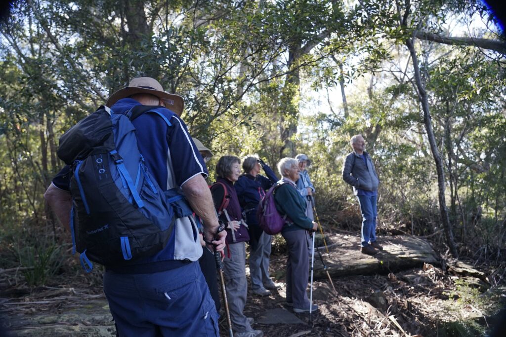 Mt Keira Ring Track, Illawarra Ramblers Club | Bushwalking NSW