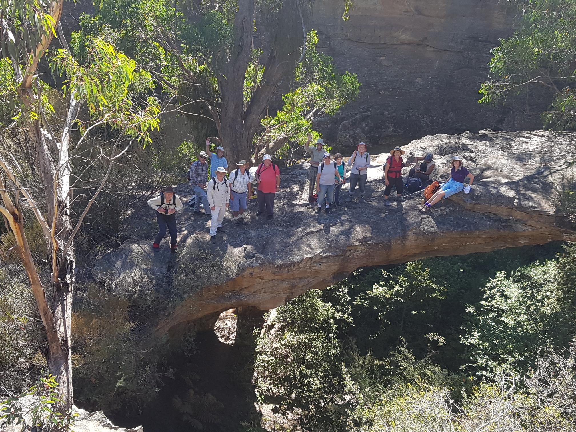 Blue Mountains Conservation Society | Bushwalking NSWBushwalking NSW