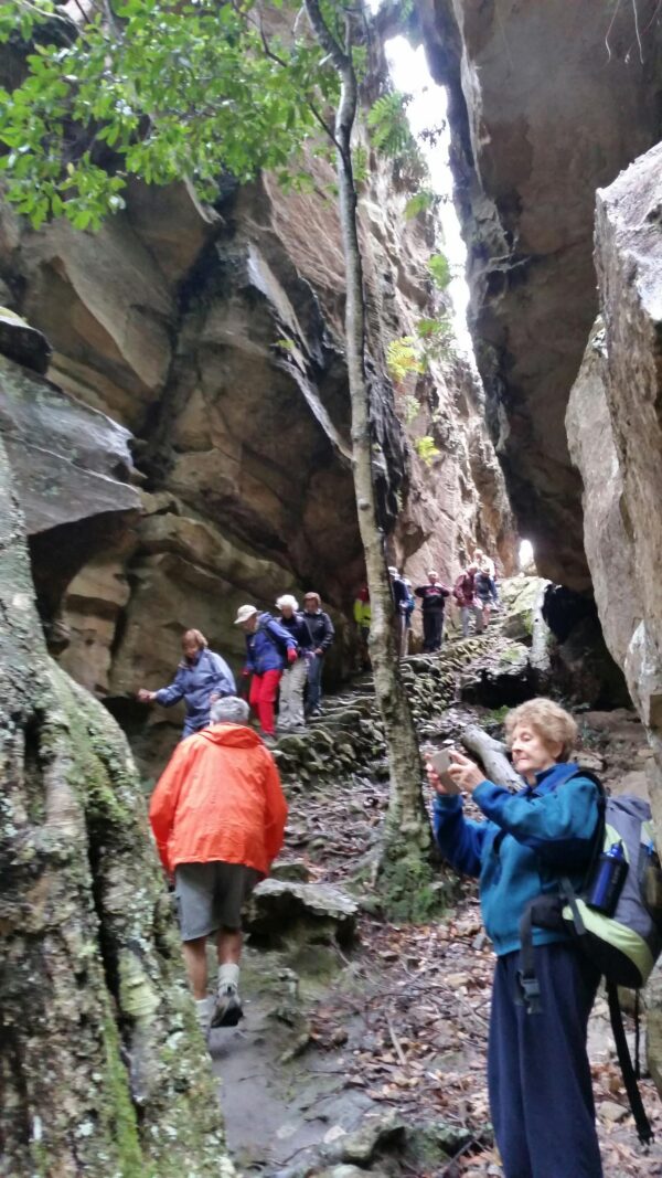 Blue Mountains Conservation Society | Bushwalking NSW
