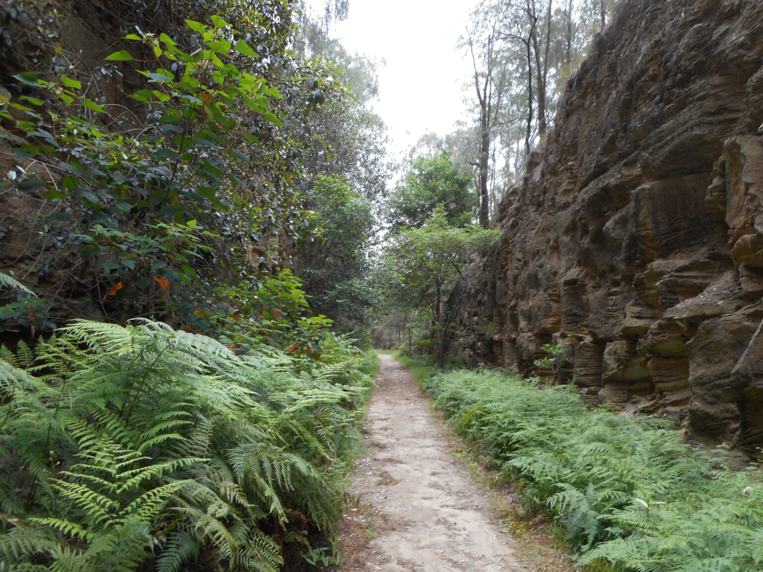 Great West Walk extended from Penrith to Katoomba | Bushwalking ...