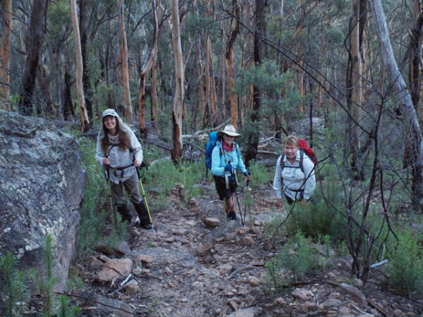 Newcastle Ramblers 60th Anniversary | Bushwalking NSWBushwalking NSW