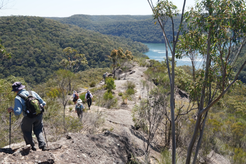 The Bush Club | Bushwalking NSWBushwalking NSW