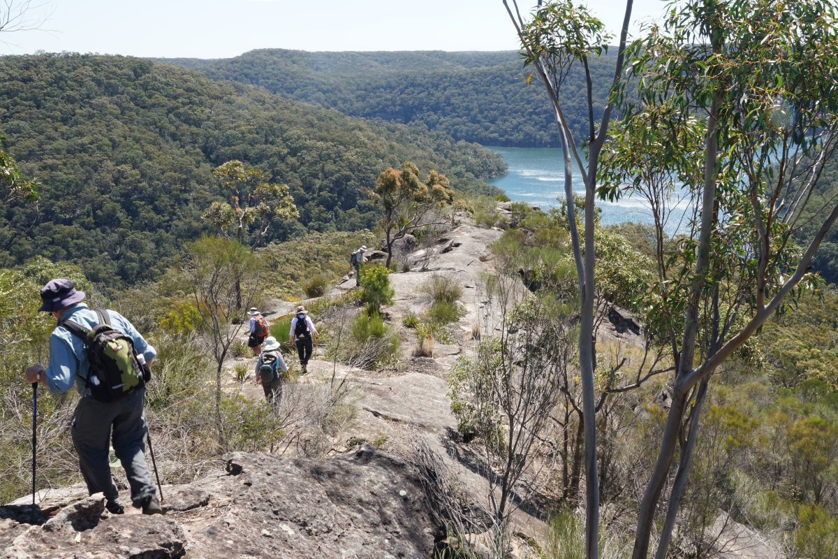 The Bush Club | Bushwalking NSWBushwalking NSW