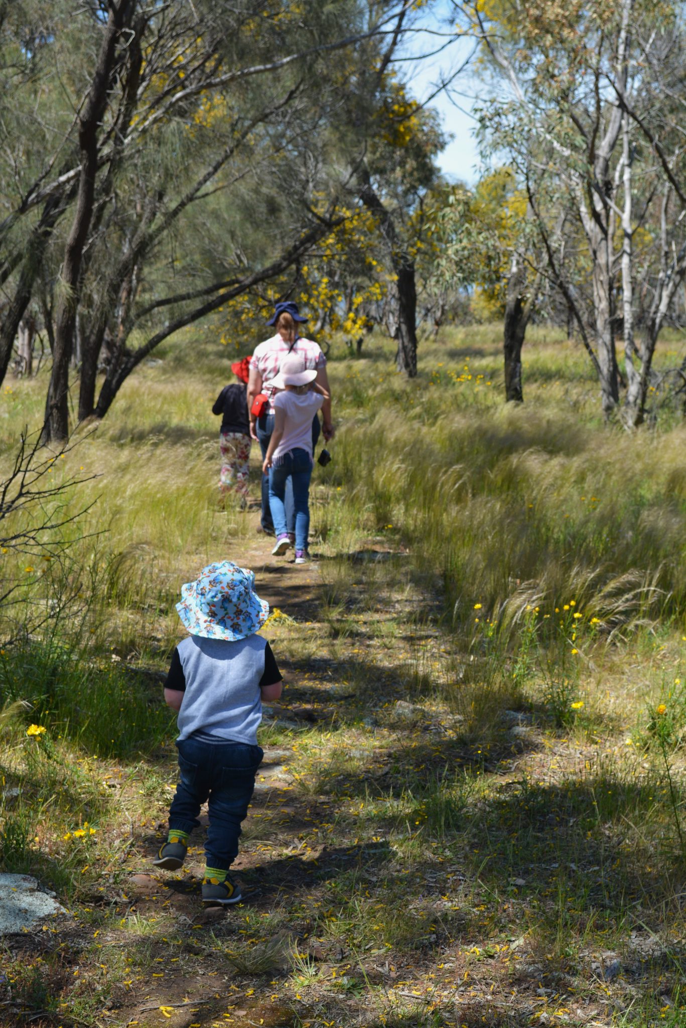 2024 Bushwalking NSW Photo Competition | Bushwalking NSWBushwalking NSW