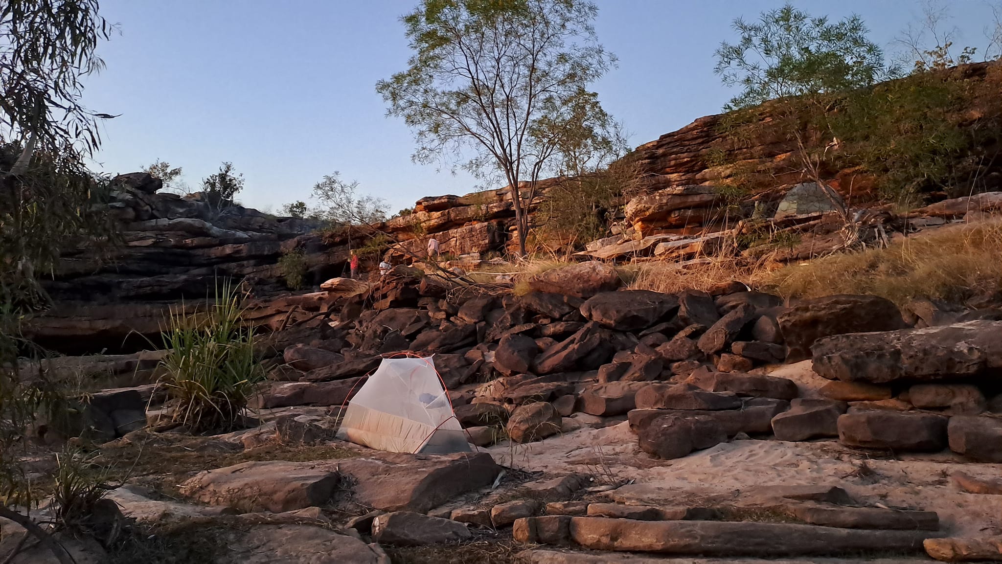 News | Bushwalking NSWBushwalking NSW