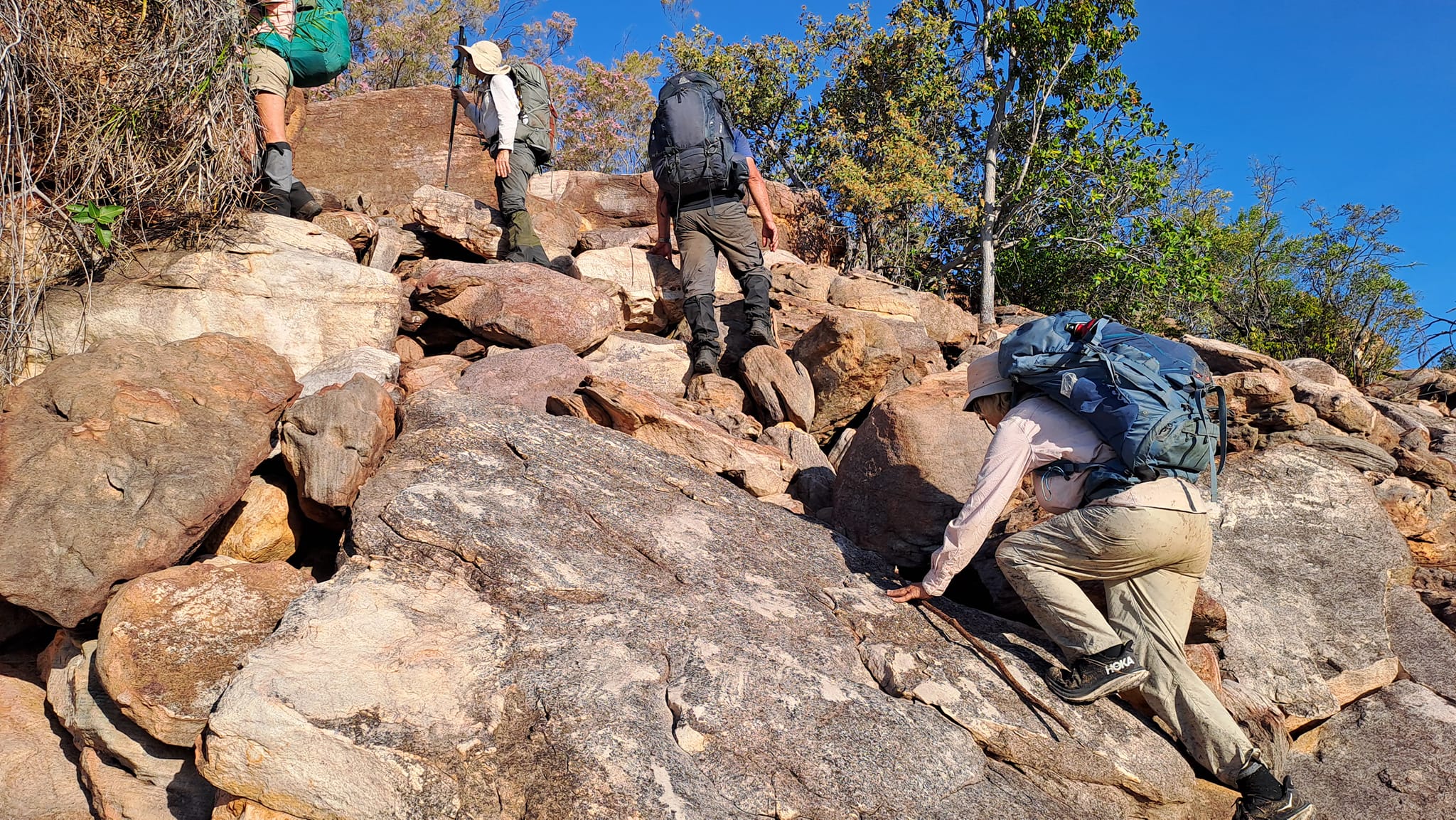 News | Bushwalking NSWBushwalking NSW