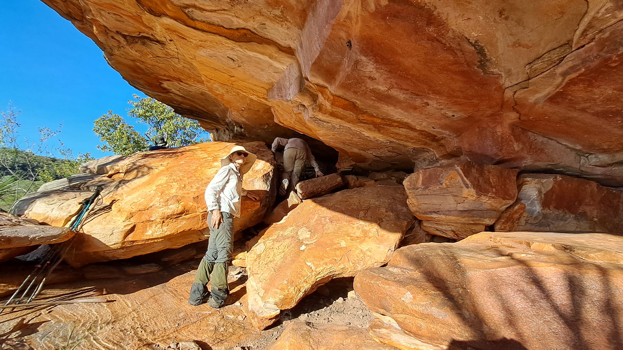 News | Bushwalking NSWBushwalking NSW