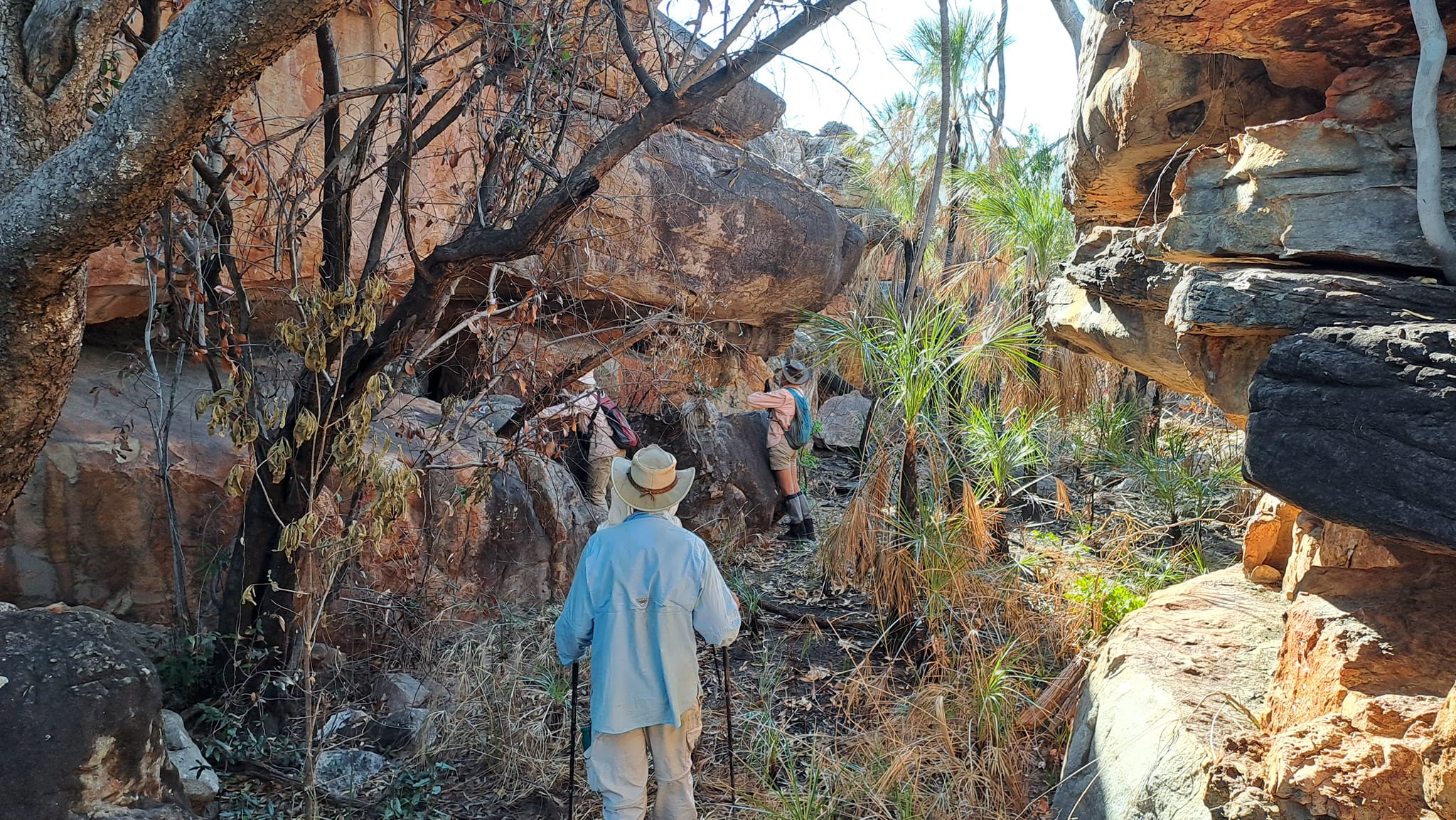 News | Bushwalking NSWBushwalking NSW