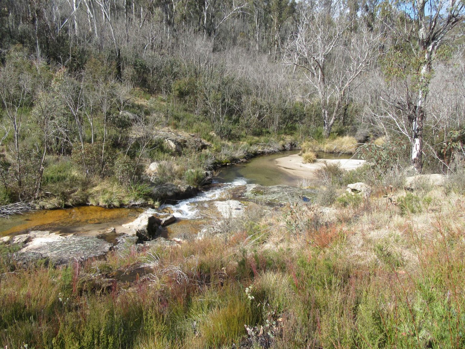 bushwalking australia | Bushwalking NSWBushwalking NSW